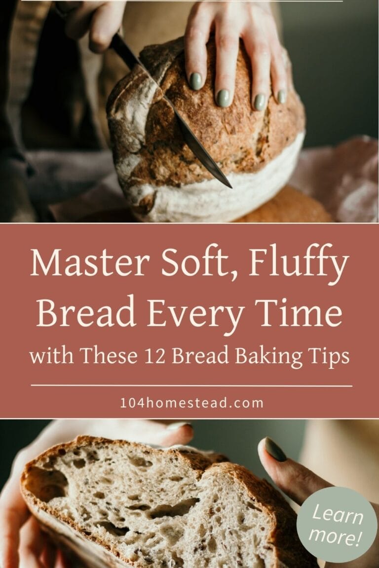 12 Bread Baking Tips & Tricks for Perfect Homemade Loaves