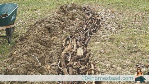 How to Use Swales on Your Homestead