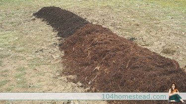 How to Use Swales on Your Homestead