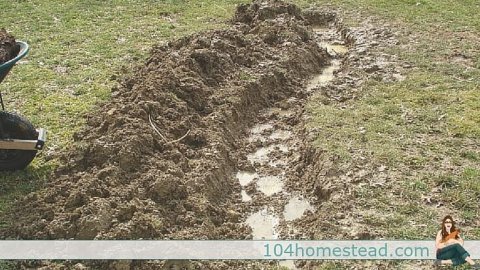 How to Use Swales on Your Homestead