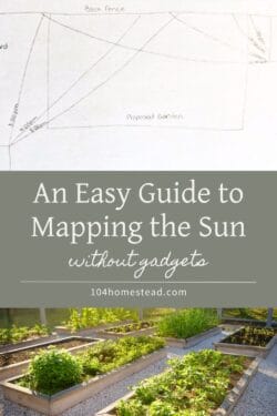 Sun Map 101: An Easy Guide to Mapping the Sun Without Gadgets