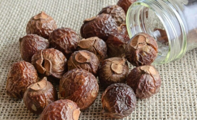 Discover the Magic of Soap Nuts: More Than Just Laundry