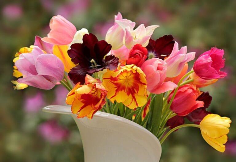 How to Grow a Backyard Tulip Garden on Your Homestead