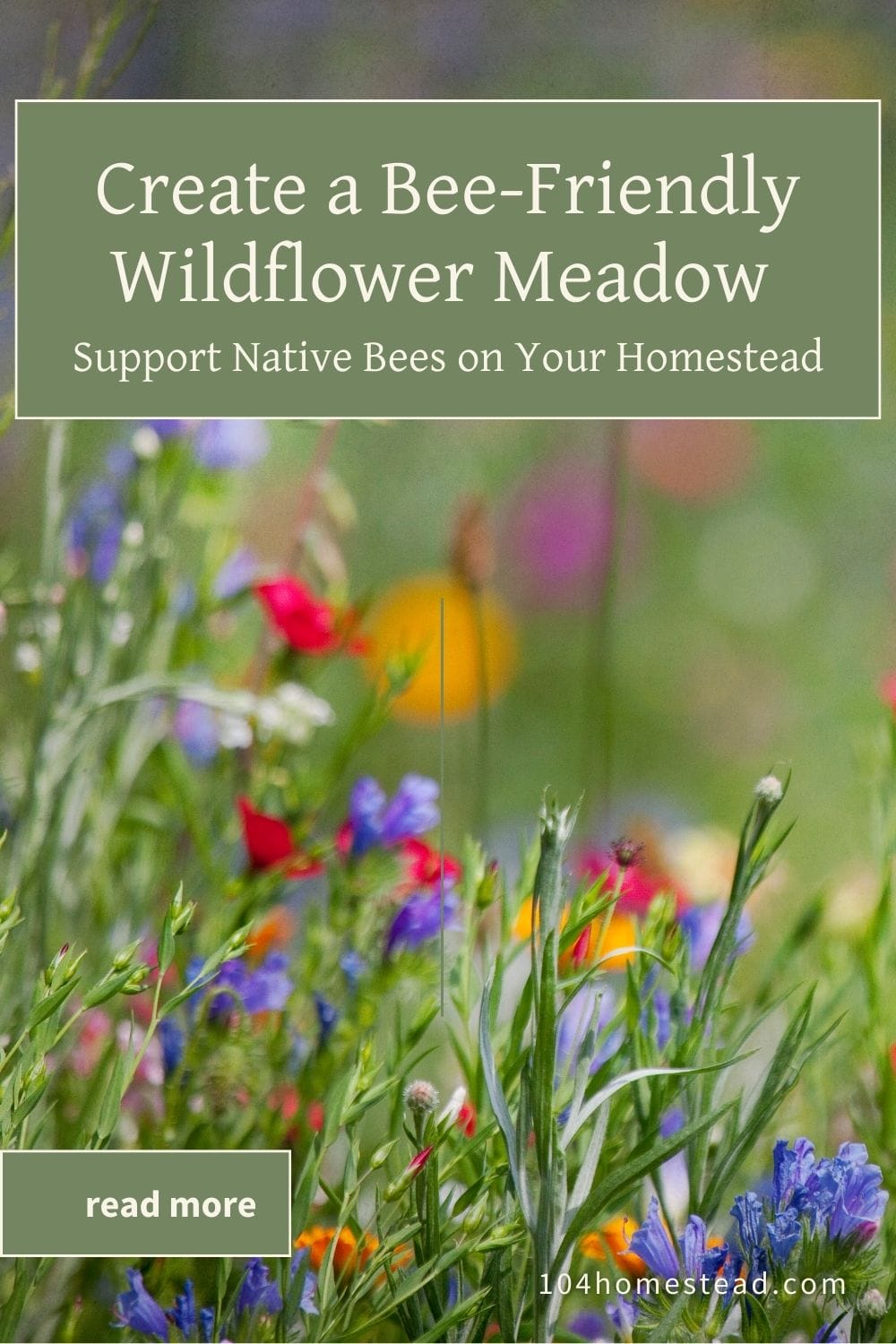 Grow a Bee-Friendly Wildflower Meadow on Your Homestead