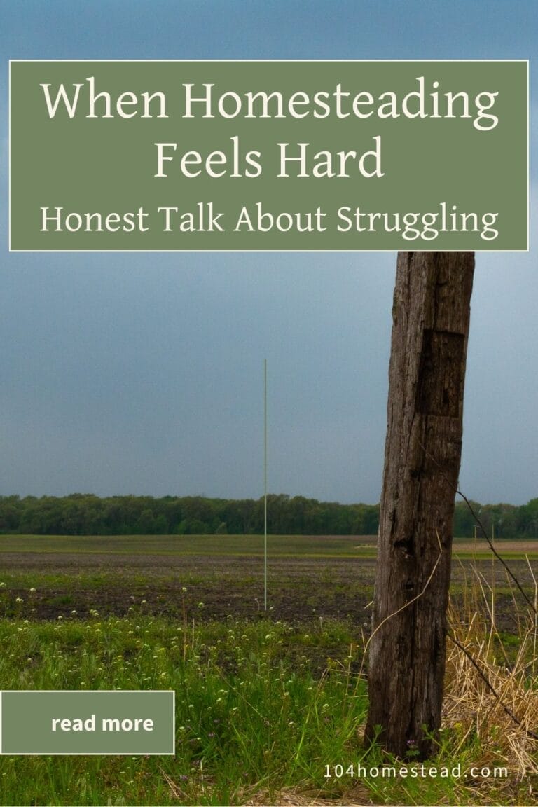When Homesteading Feels Hard: Struggles and Small Wins