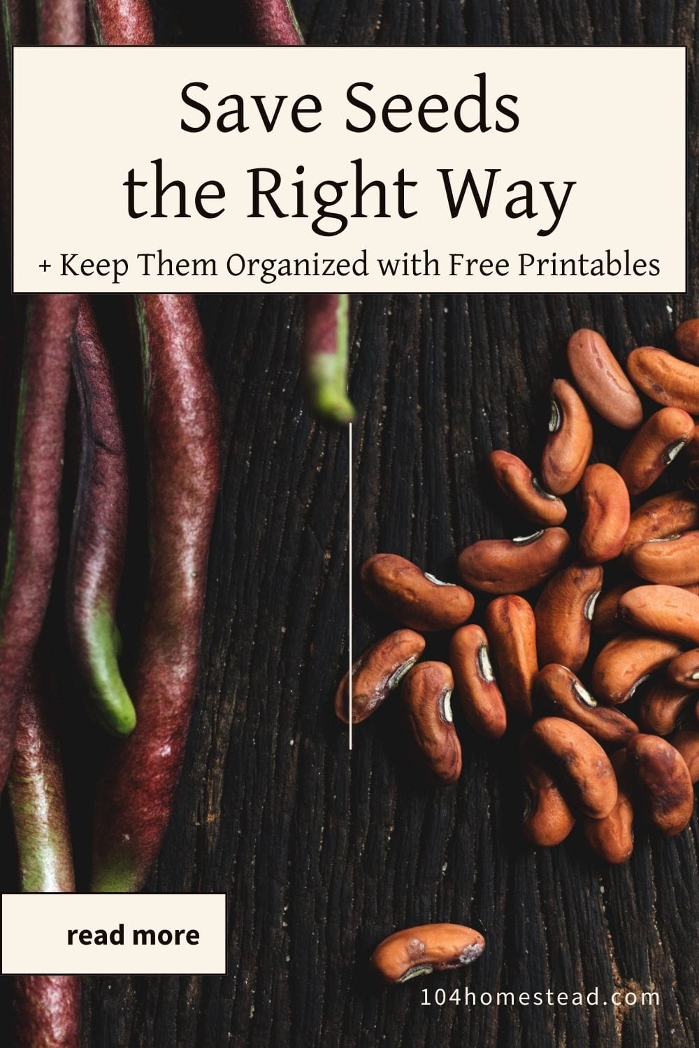 The Ultimate Seed Saving Guide and Printable Seed Packets