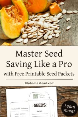 The Ultimate Seed Saving Guide and Printable Seed Packets