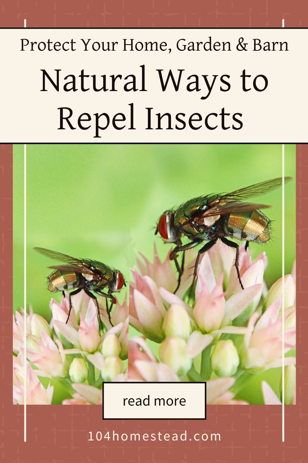 Natural Insect Repellents for Your Homestead