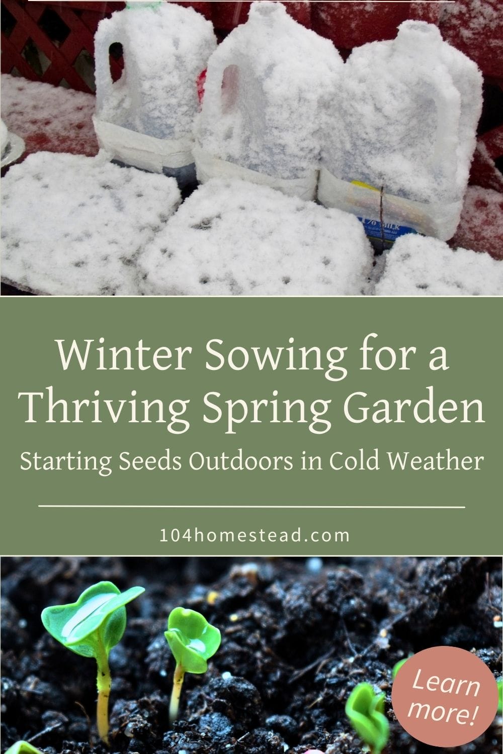 Winter Sowing: The Easiest Way to Start Seeds in Cold Weather