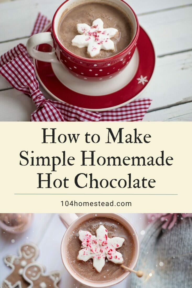 How To Make Hot Chocolate (With Ingredients You Likely Have On Hand)