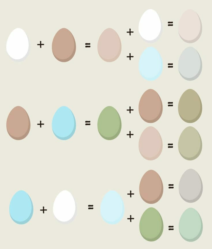 An Egg In Every Hue: The Secret to Getting Various Egg Colors