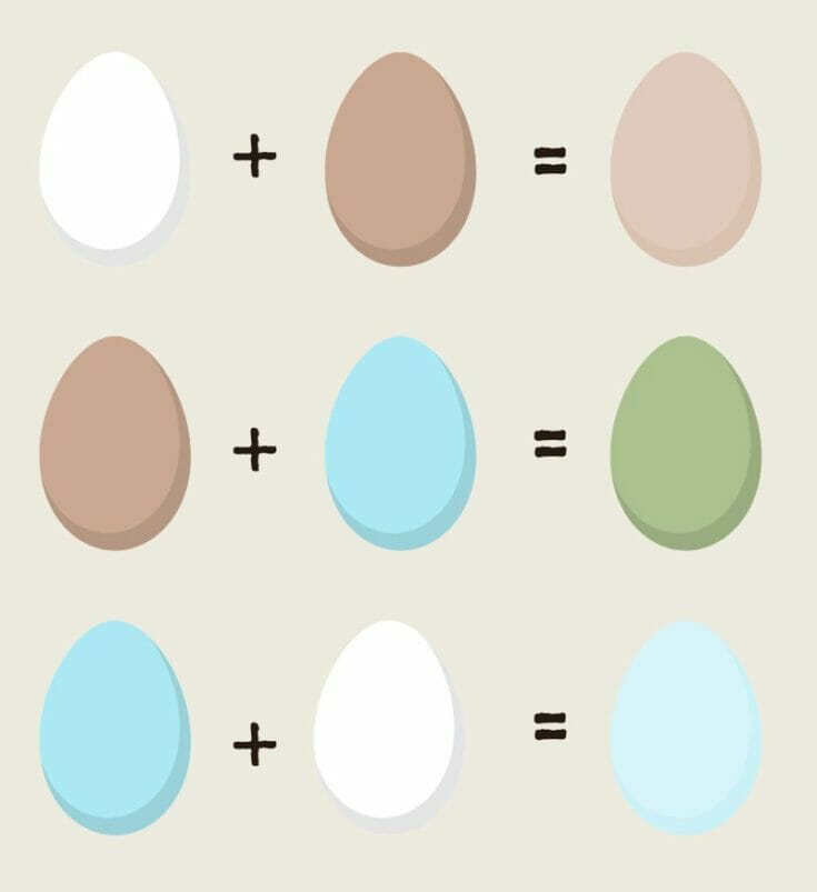 An Egg In Every Hue: The Secret to Getting Various Egg Colors