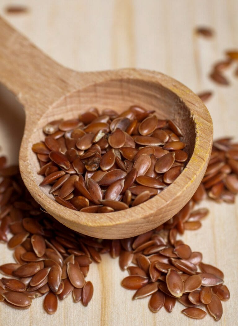A Recipe for Healthy Flax Seed Crackers in the Dehydrator