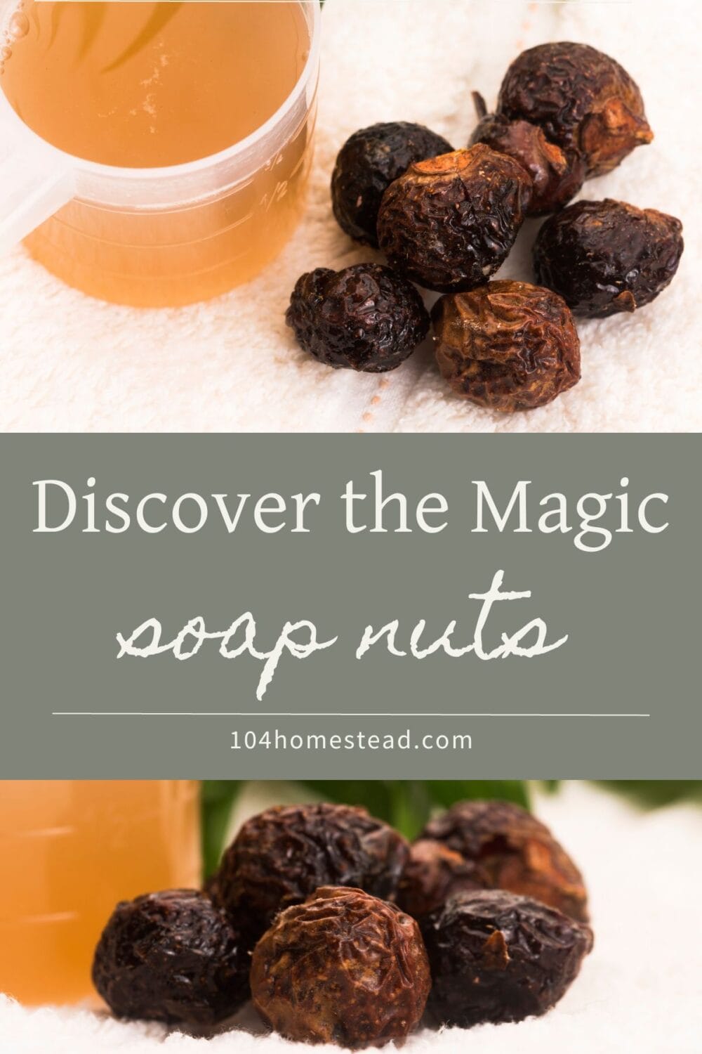 Discover the Magic of Soap Nuts: More Than Just Laundry