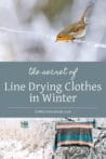 The Secret of Line Drying Clothes in Winter (even in Maine!)
