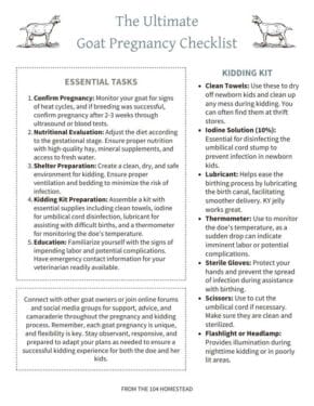 What to Expect When Your Goat is Pregnant and Laboring