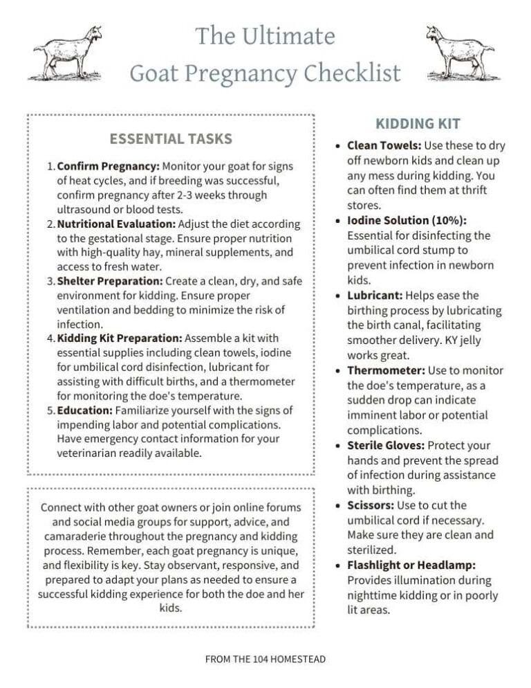 What to Expect When Your Goat is Pregnant and Laboring