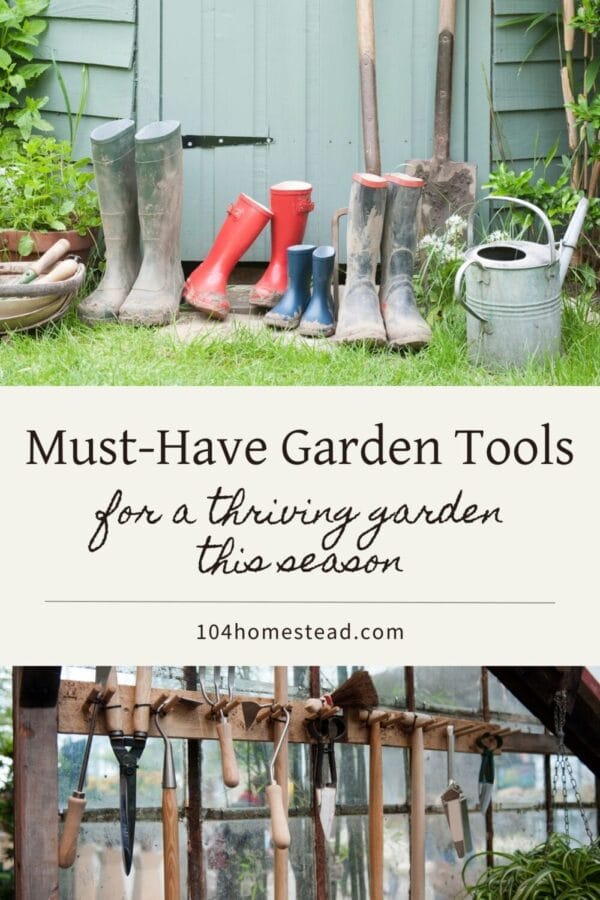 Garden Supplies You Actually Need for a Thriving Garden