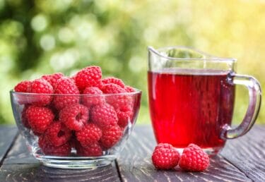 An Anne of Green Gables Inspired Raspberry Cordial Recipe