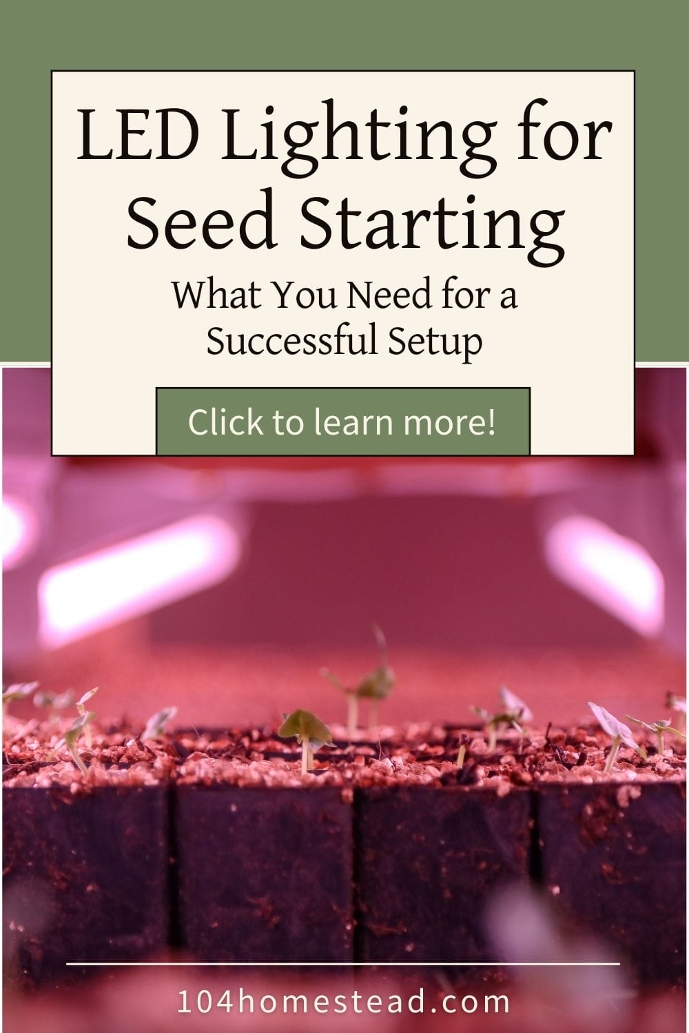 Can You Start Your Seedlings with LED Lights?