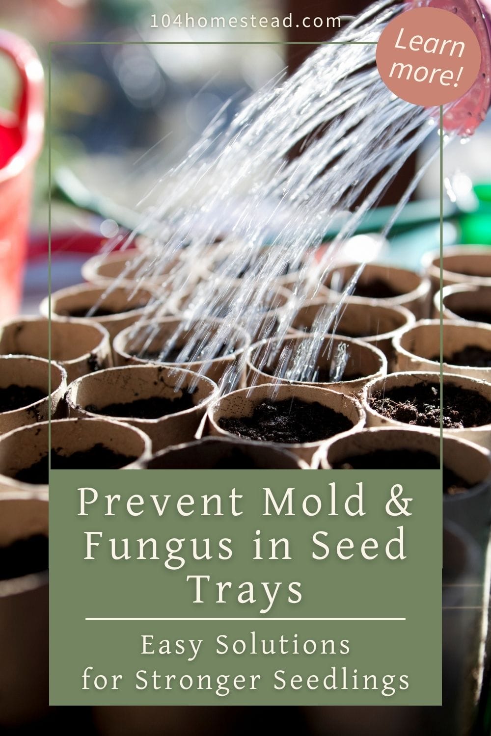 How to Stop Mold in Seed Starting Mix (Before It Starts)