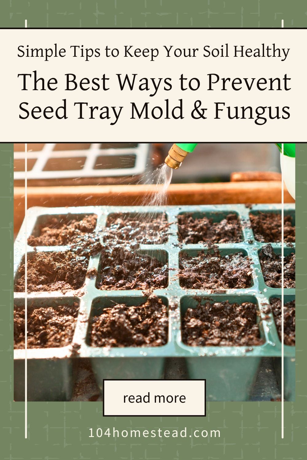 How to Stop Mold in Seed Starting Mix (Before It Starts)