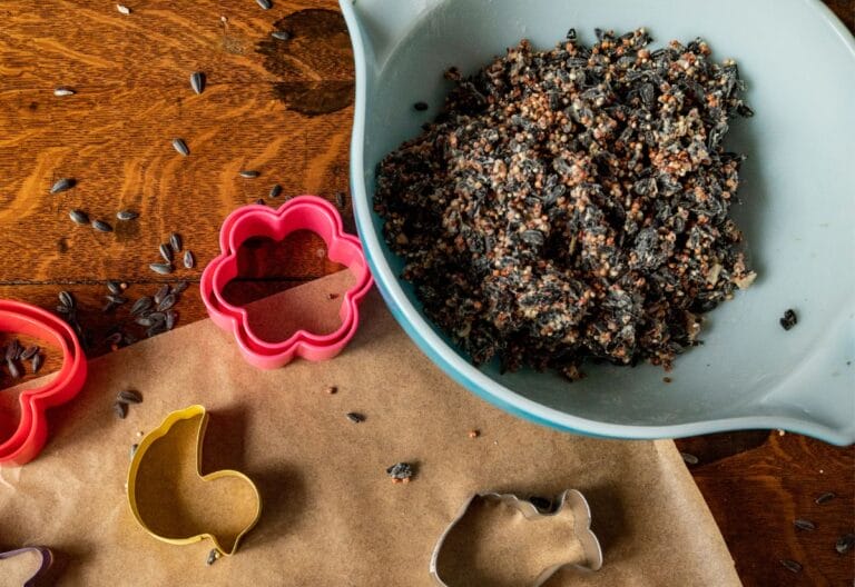 An Easy DIY Seed Block Your Chickens Will Love