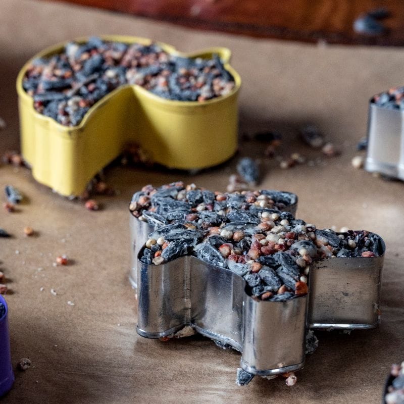 An Easy DIY Seed Block Your Chickens Will Love