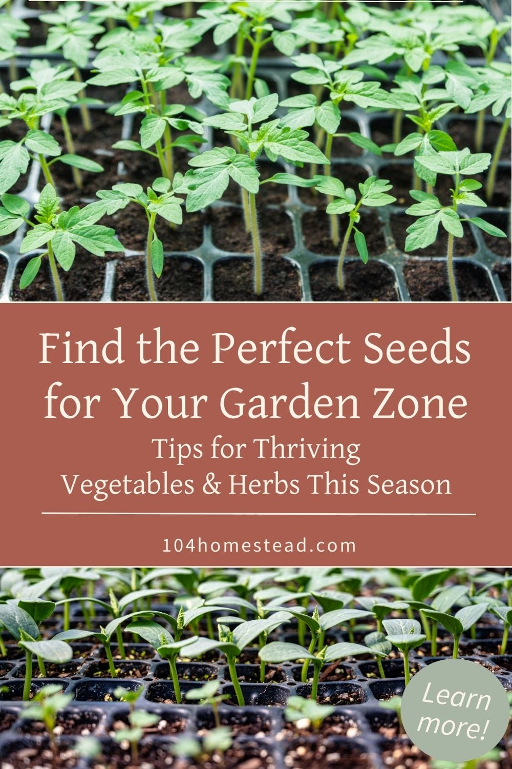 How to Choose the Right Plant Seeds for Your Growing Zone