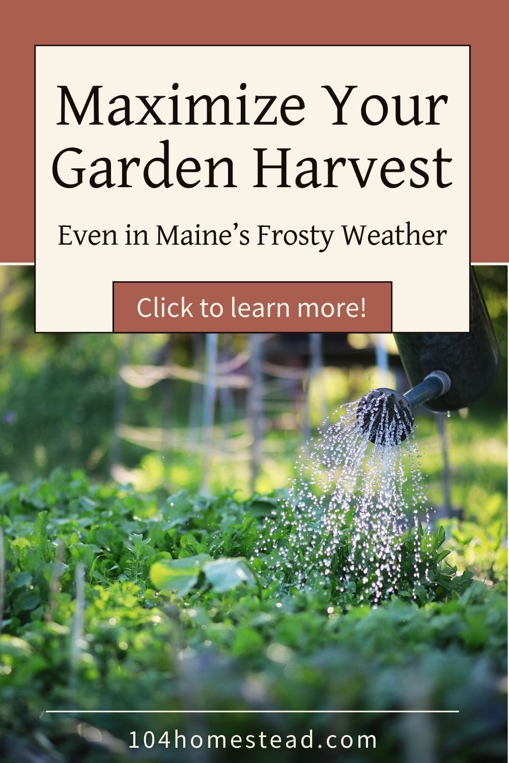 Cold Climate Gardening Tips for Maine’s Short Growing Season