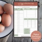 Egg Collection Log & Profit Tracker