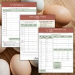 Egg Collection Log & Profit Tracker Printable