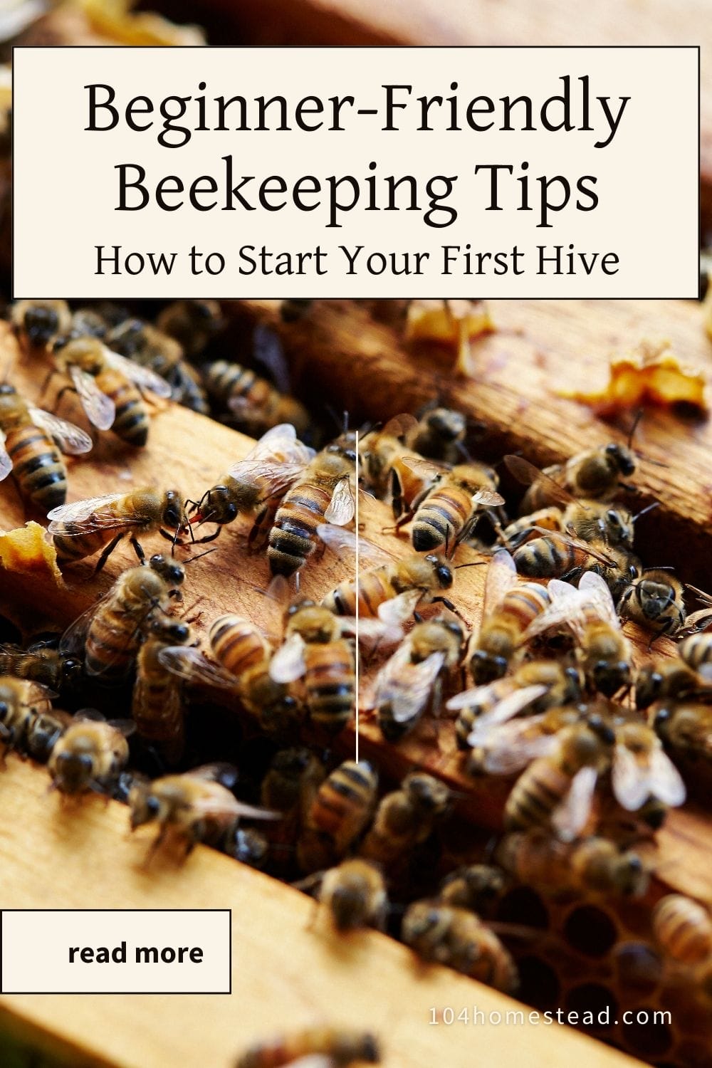 Step-by-Step Guide to Starting Beekeeping for Beginners