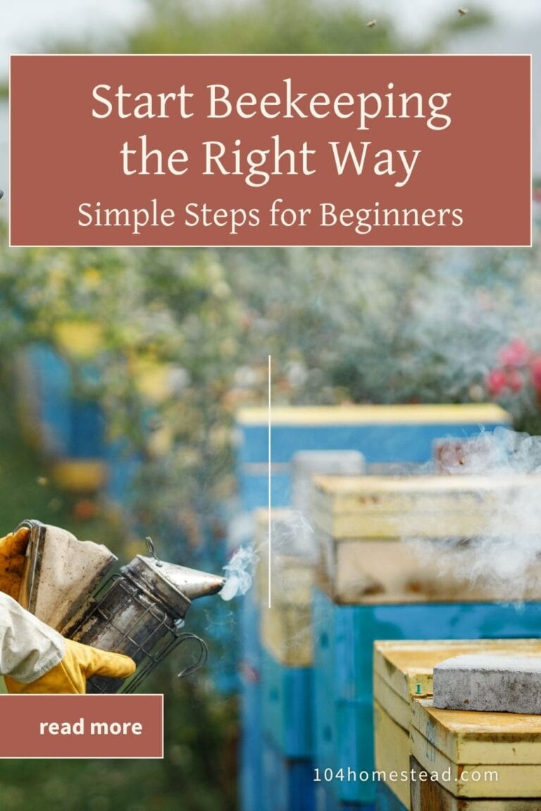 Step-by-Step Guide to Starting Beekeeping for Beginners
