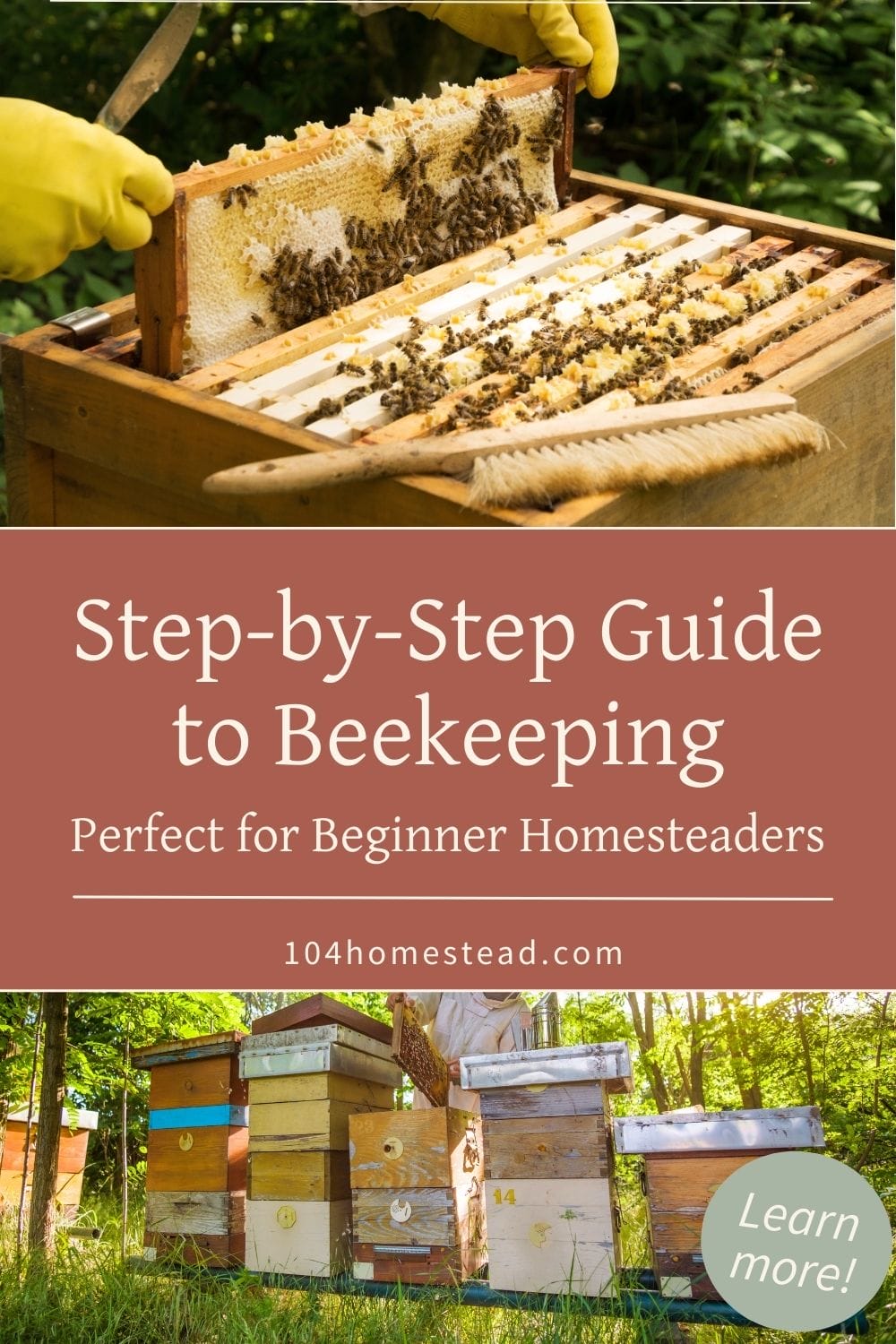 Step-by-Step Guide to Starting Beekeeping for Beginners