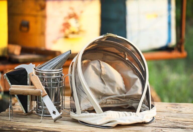 Step-by-Step Guide to Starting Beekeeping for Beginners