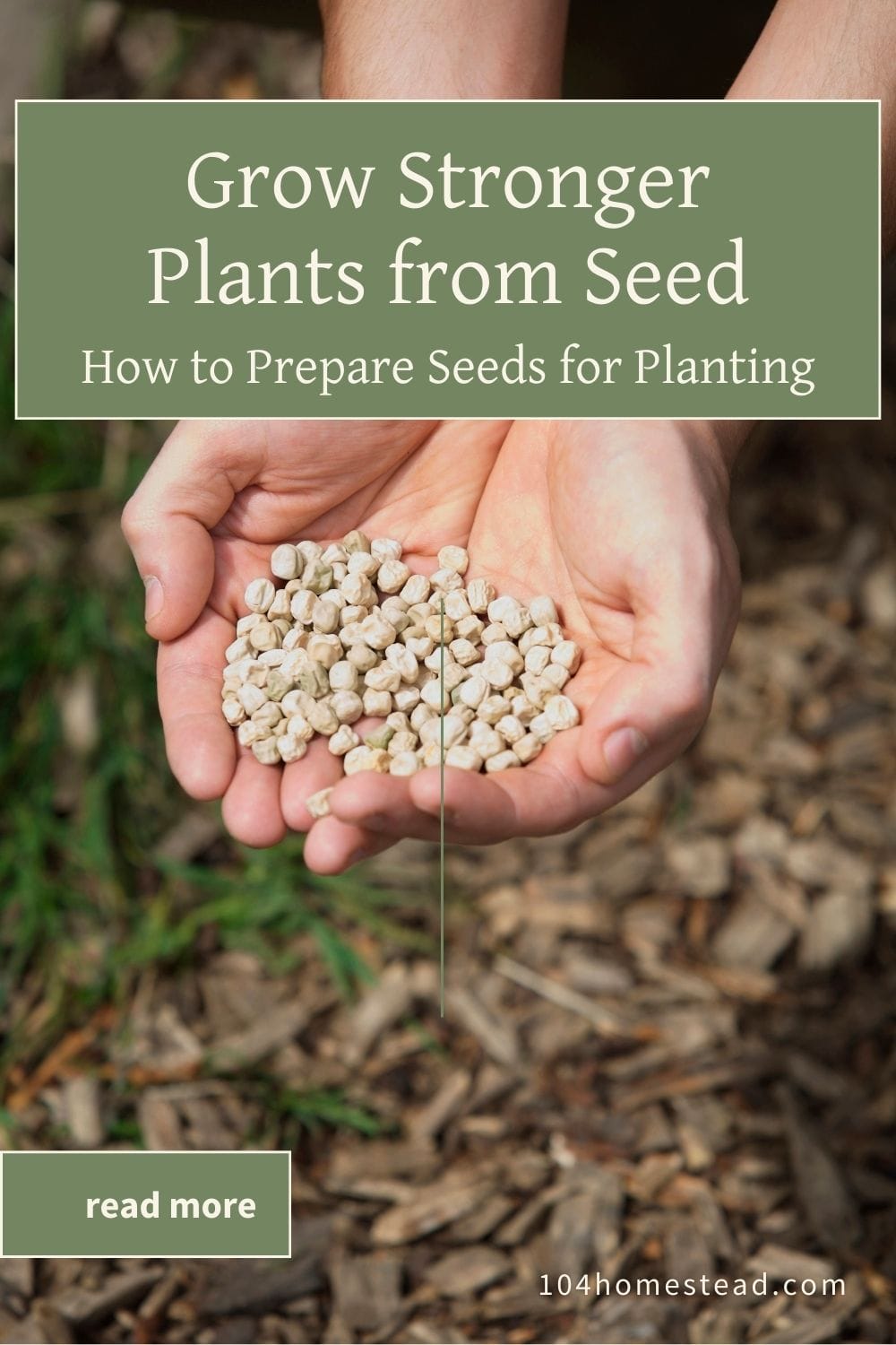 Seed Germination: Stratification and Scarification Explained