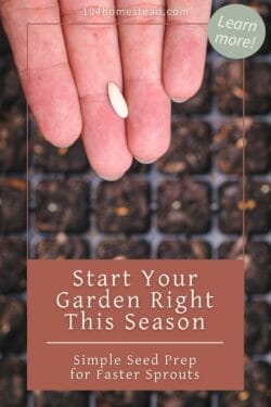 Seed Germination: Stratification and Scarification Explained