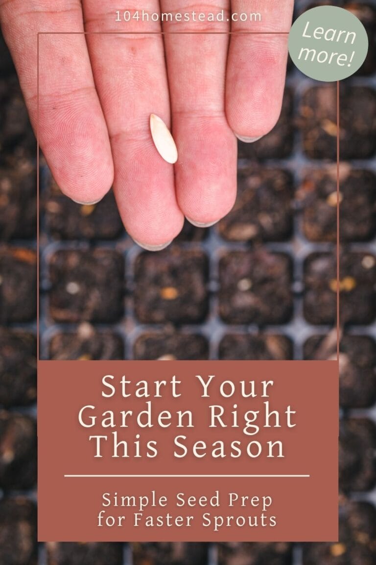 Seed Germination: Stratification and Scarification Explained