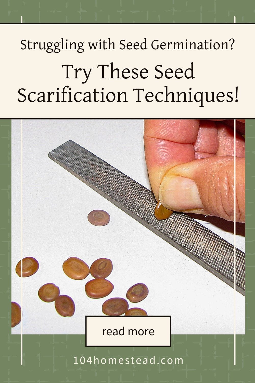 Seed Germination: Stratification and Scarification Explained