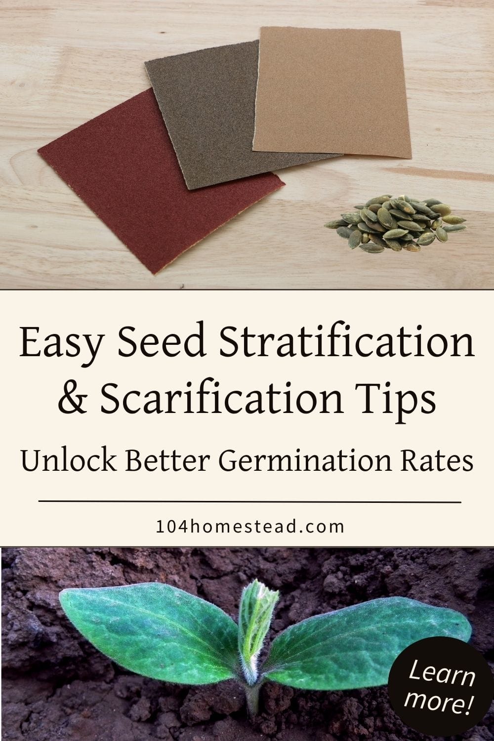 Seed Germination: Stratification and Scarification Explained