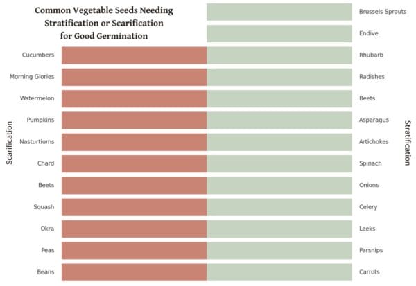 Seed Germination: Stratification and Scarification Explained