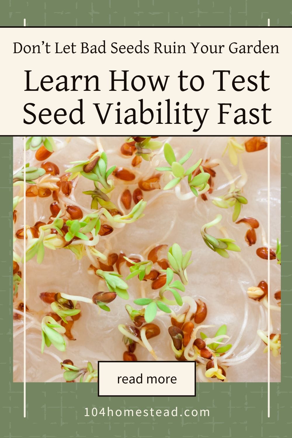 Testing Old Vegetable Seeds for Viability Before Planting