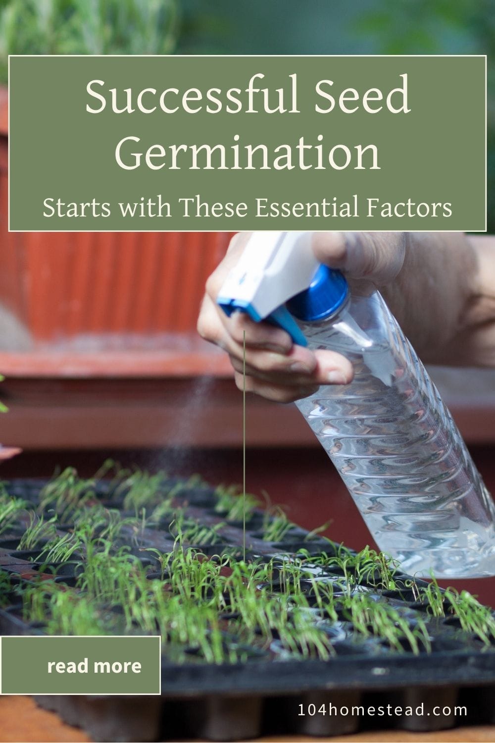 What Vegetable Seeds Need to Sprout Successfully