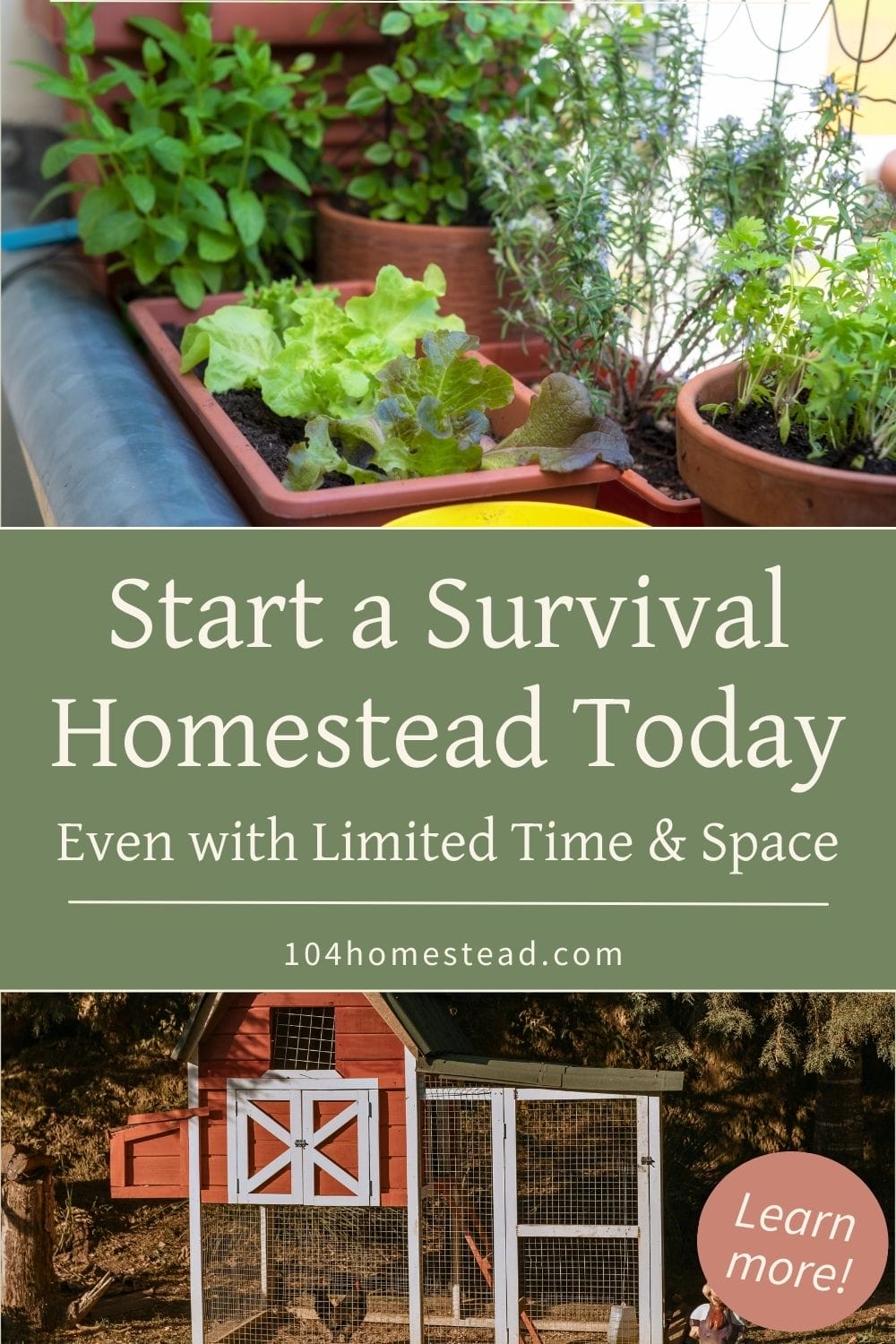 A Beginner’s Guide to a No-Fuss Survival Mini-Homestead