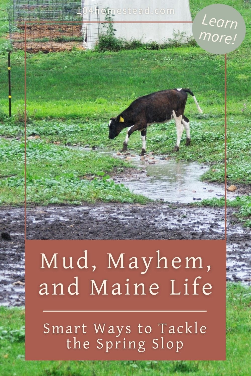 Surviving Mud Season in Maine: A Homesteader’s Guide