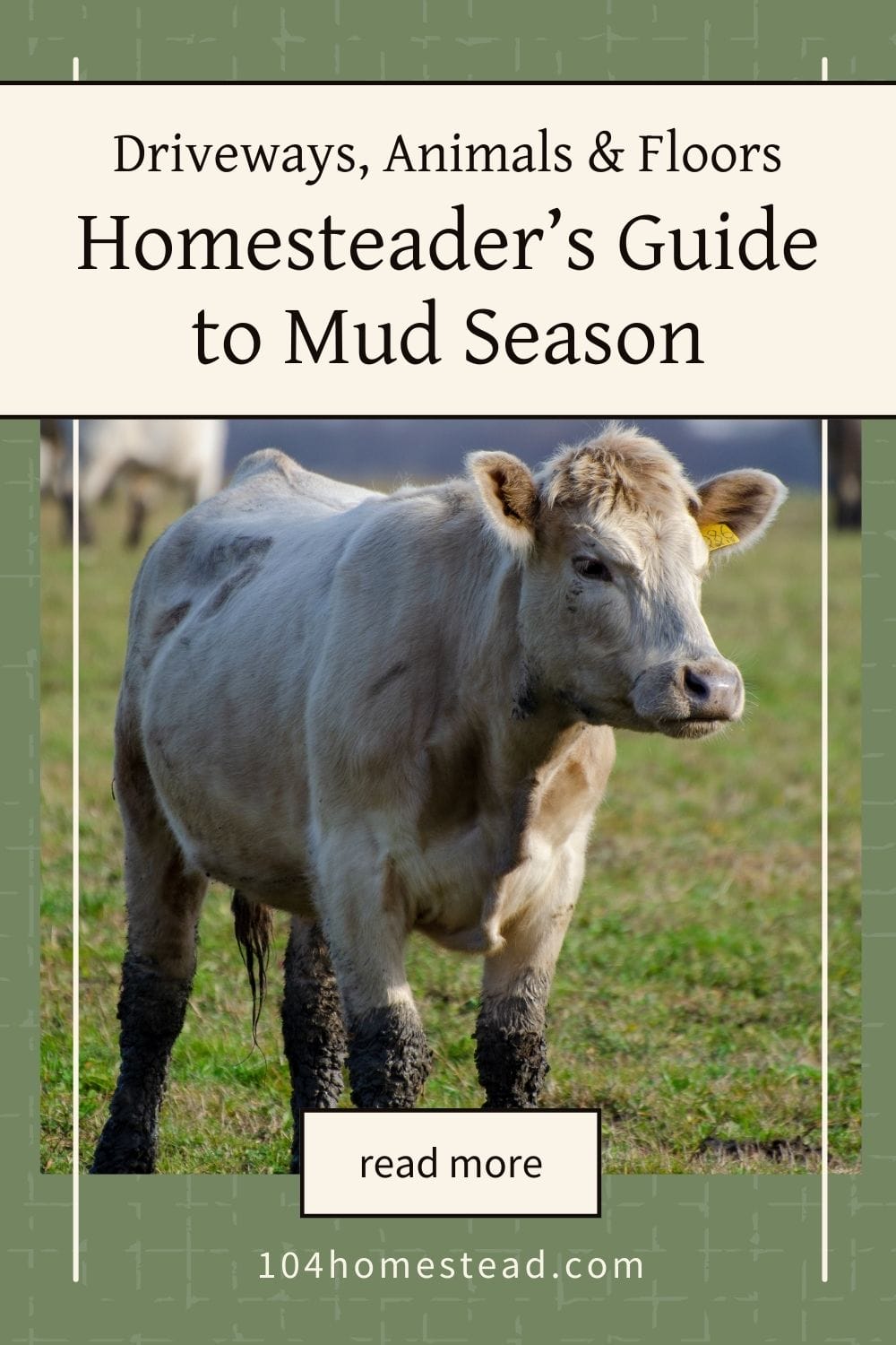 Surviving Mud Season in Maine: A Homesteader’s Guide