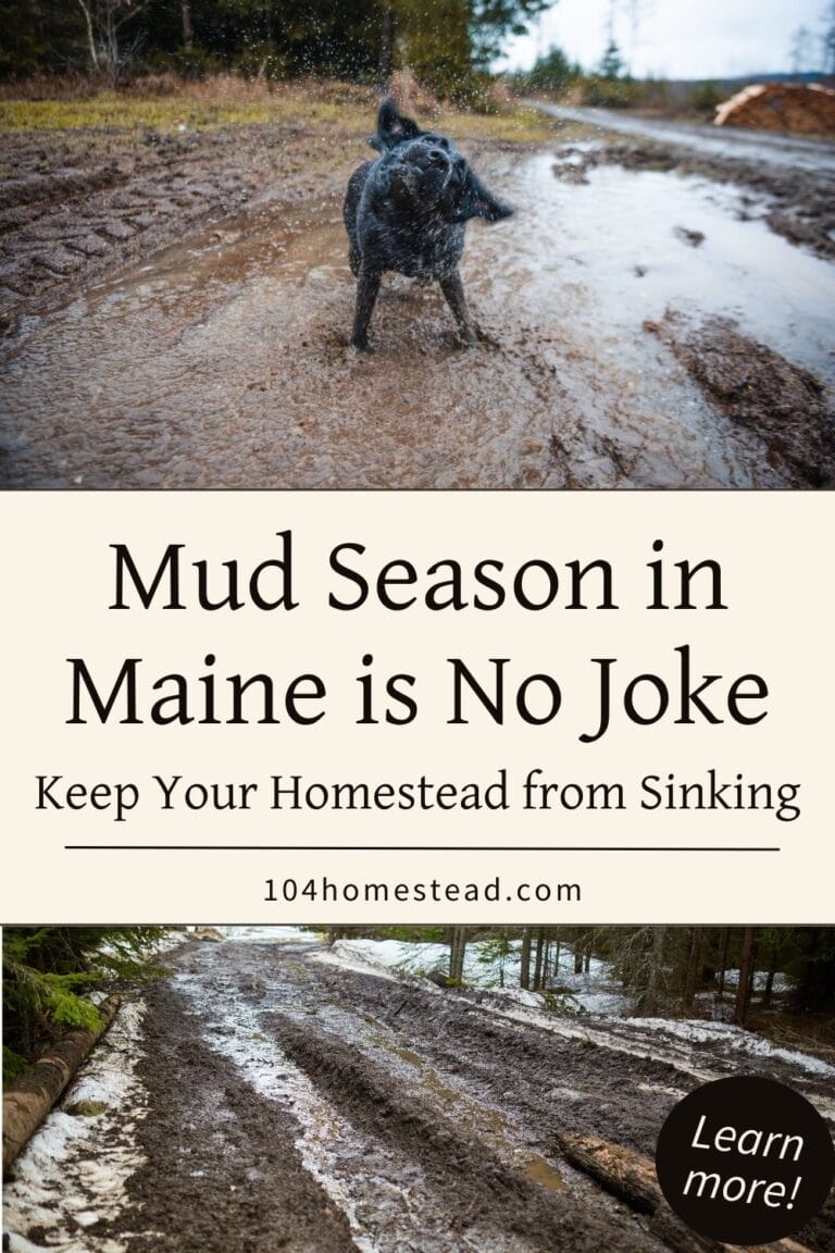Mud Season in Maine: When It Starts, Ends & How to Handle It