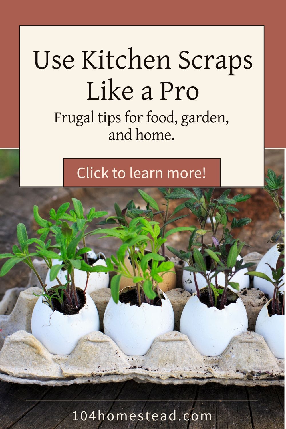 Beyond Compost: 25 Creative Uses for Kitchen Scraps