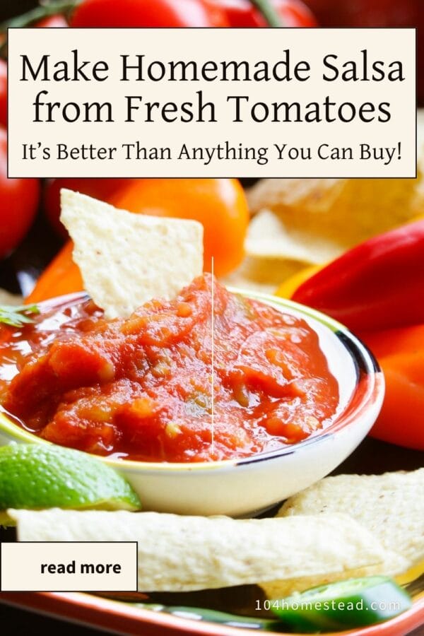 Canning Salsa Recipe from Fresh Tomatoes | Water Bath Method
